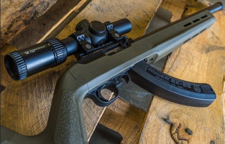 Ruger BX-25 .22LR 25rd Magazines - 2 Pack