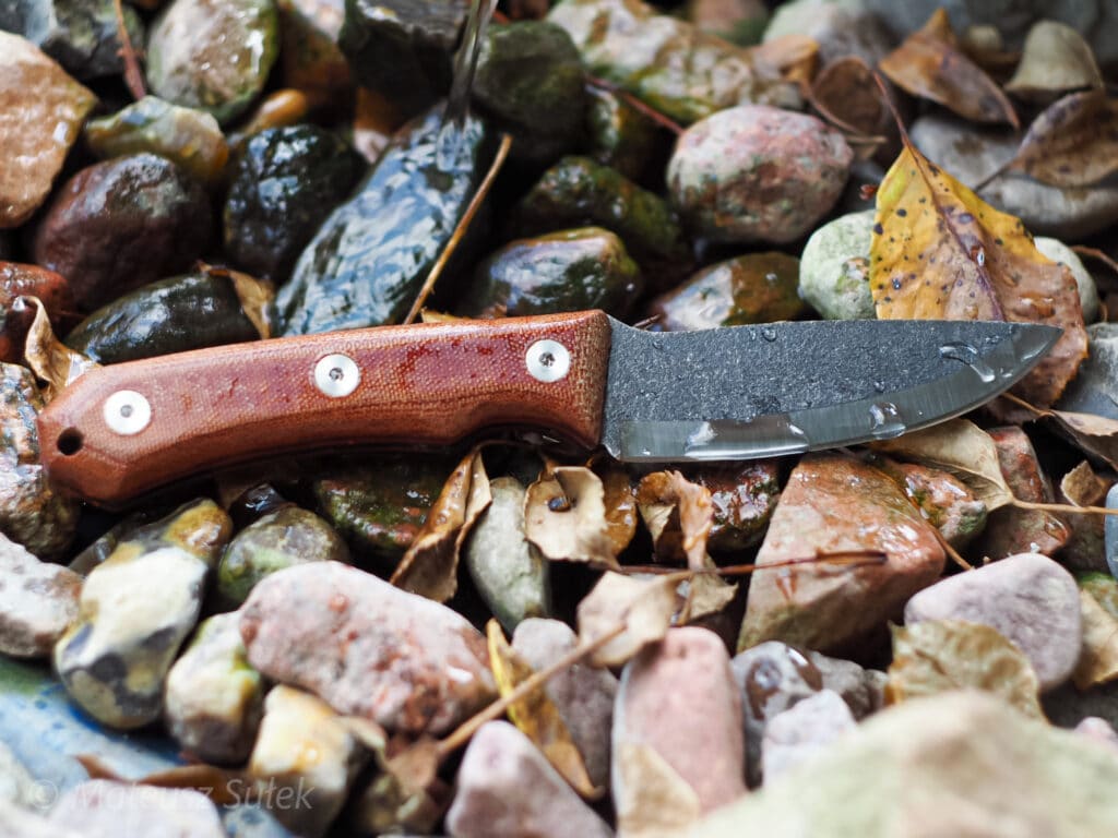 Condor Mountain PASS Carry Knife: A Compact Companion